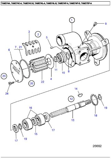 TAMD74P-A 54162435 Sea Water Pump - IMC